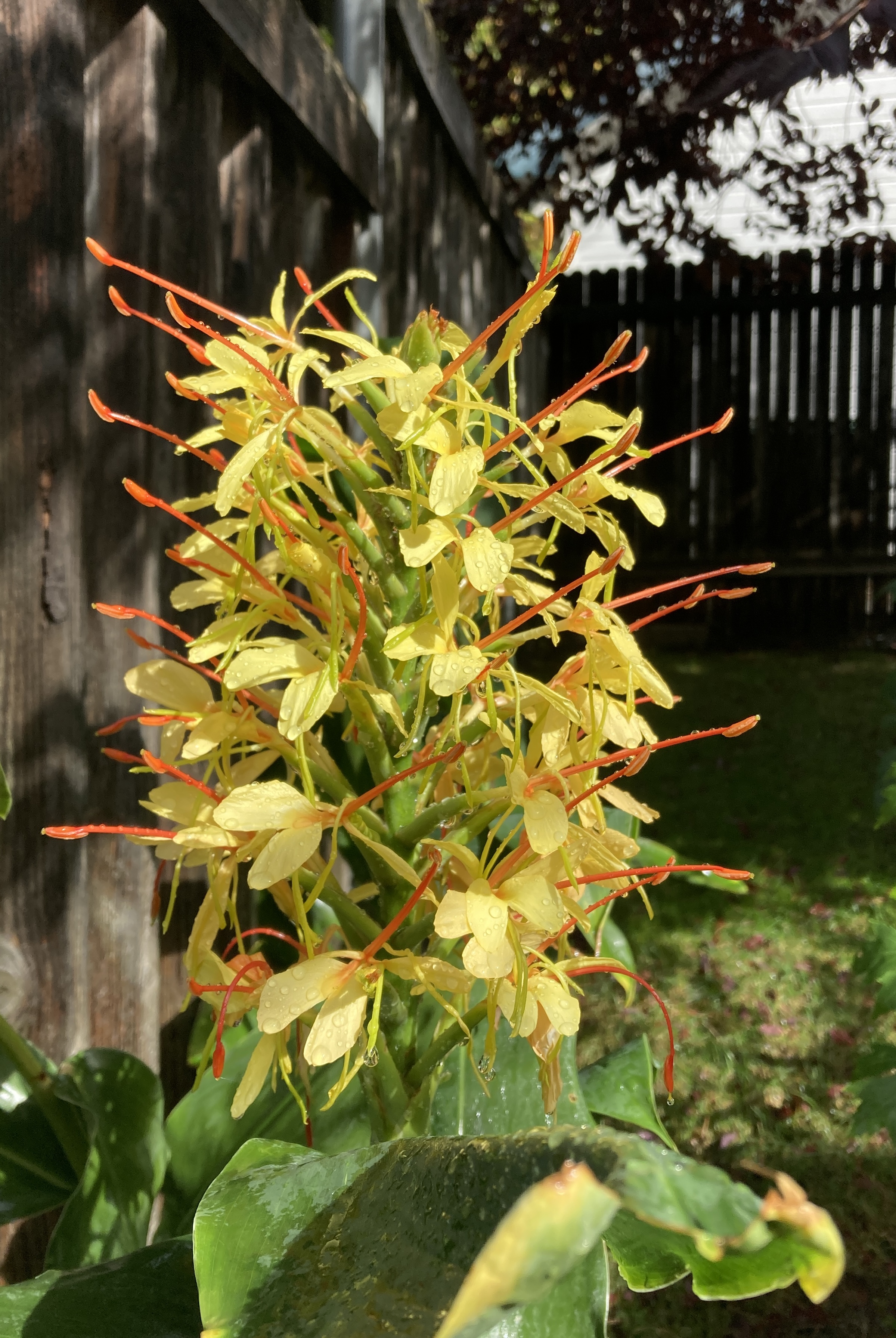 Stories are the Transactional Unit of Human-Level Intelligence – Soft ...